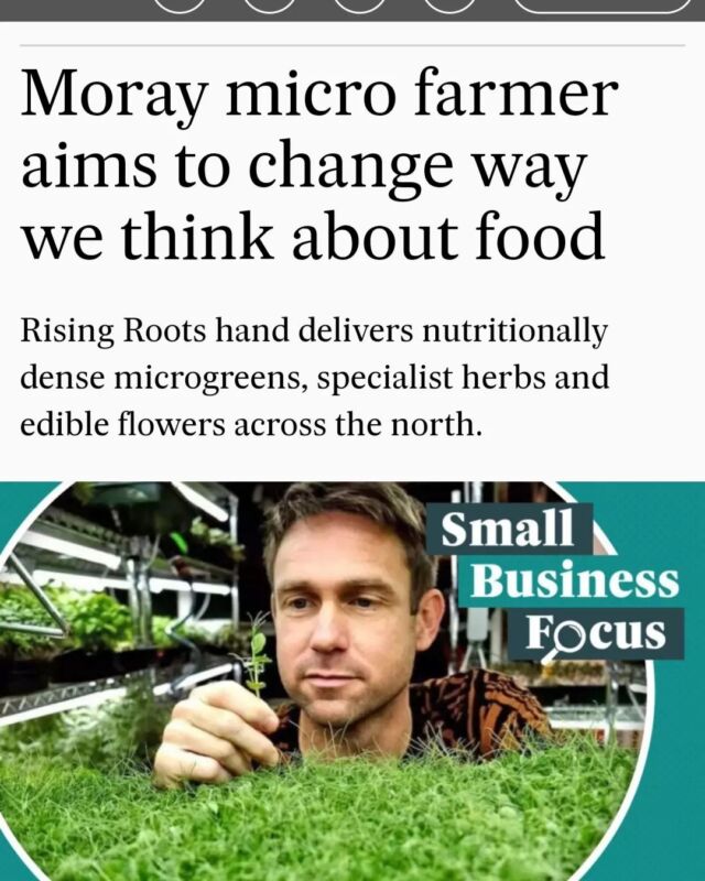 Contact - Rising Roots Microgreens